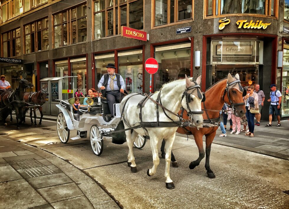 The Viennese Fiaker: A Photo Story | PACES